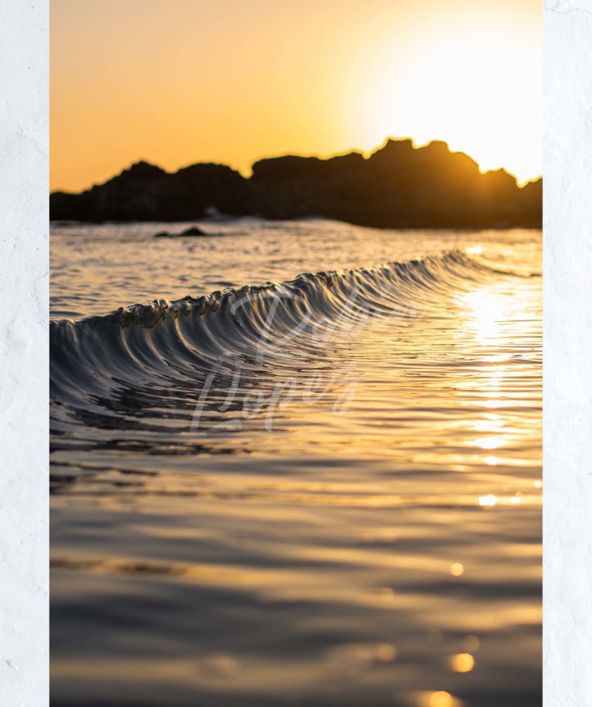 Mini vague - Portfolio